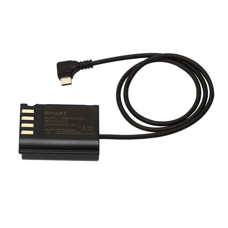 Smart USB C Dummy Battery | Digital2home